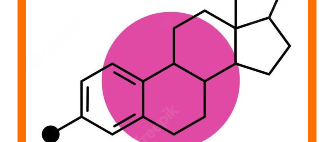Principais tipos de estrogênio – GinecoAcademy