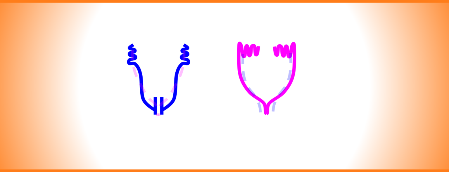 Categoria – Ginecologia Endócrina - GinecoAcademy