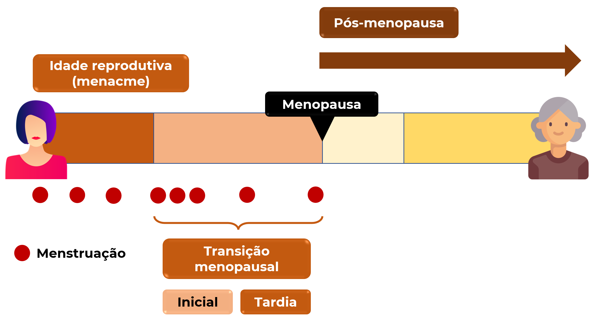 Nomenclatura e terminologia da menopausa – GinecoAcademy